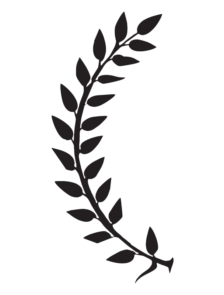 Vici Trading Solutions